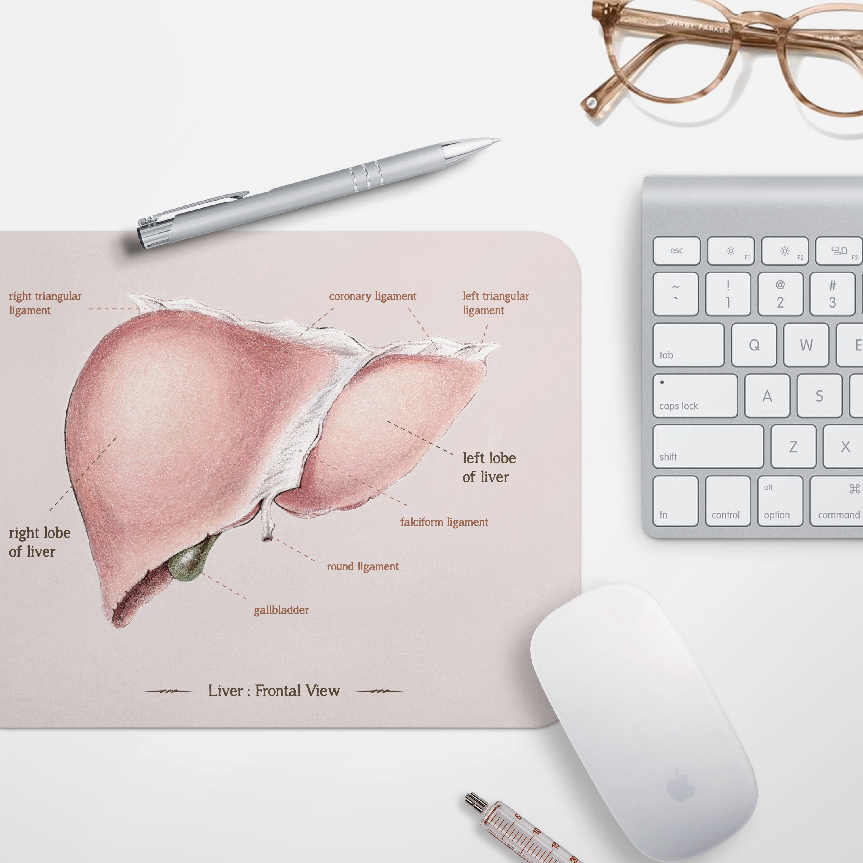 Liver Anatomy Art Mouse Mat Mouse Pad Hepatologist Hepatology ...