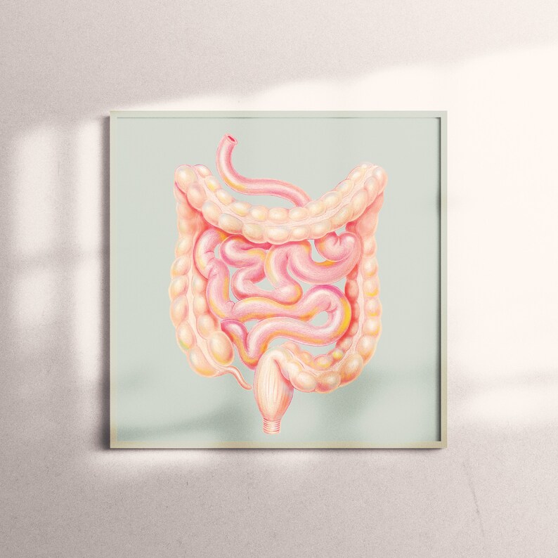 Art Print-guts Intestine Bowel Surgeon Doctor Gift Nurse - Etsy