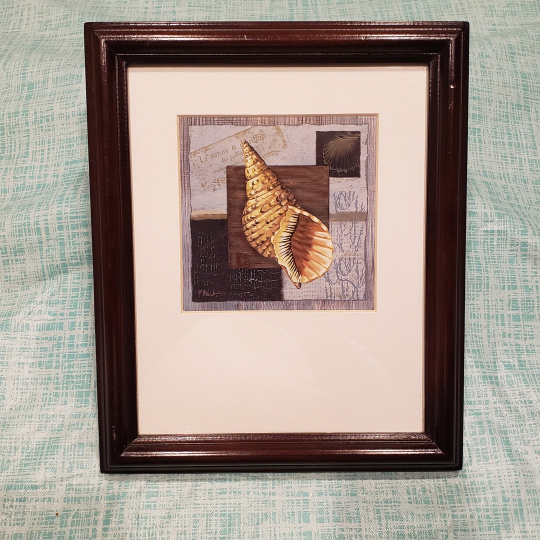 PAUL BRENT Signed Matted & Framed Sea Shell Print 9.5"x11.5" - Etsy