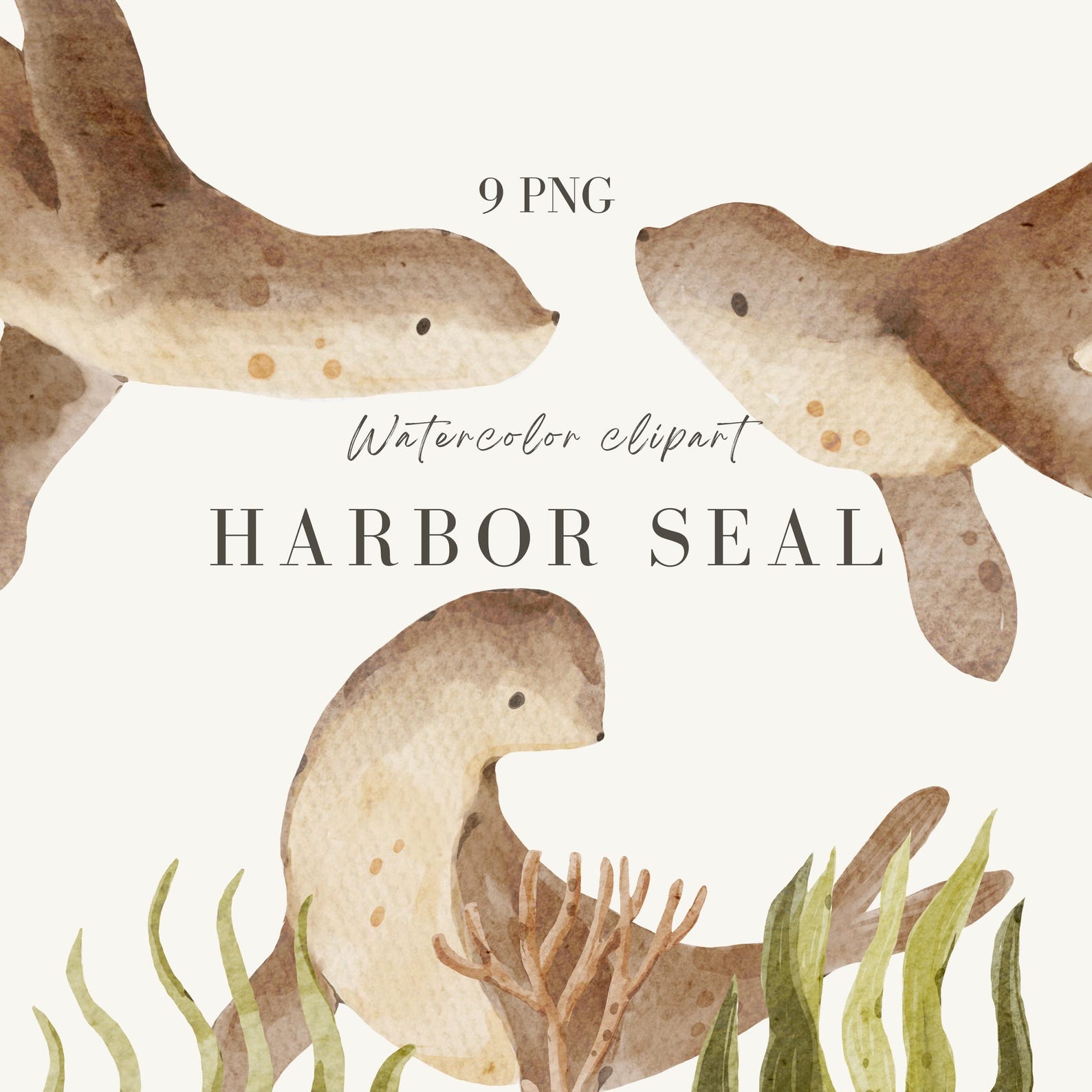 Watercolor Sea Lion, Seaweed Clipart, Hand-drawn Undersea Illustrations ...