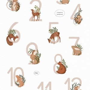 1-12 Woodland Animals Birthday Numbers Clipart, Digital Download (12 ...
