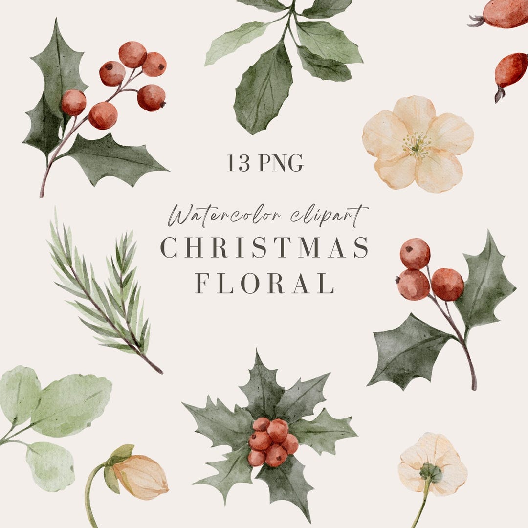 Watercolor Christmas Clipart: Berries, Branches, Leaves PNG (digital ...
