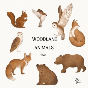 Woodland Animals Clipart, Owl Png, Squirrel Png, Bear Clipart, Fox ...
