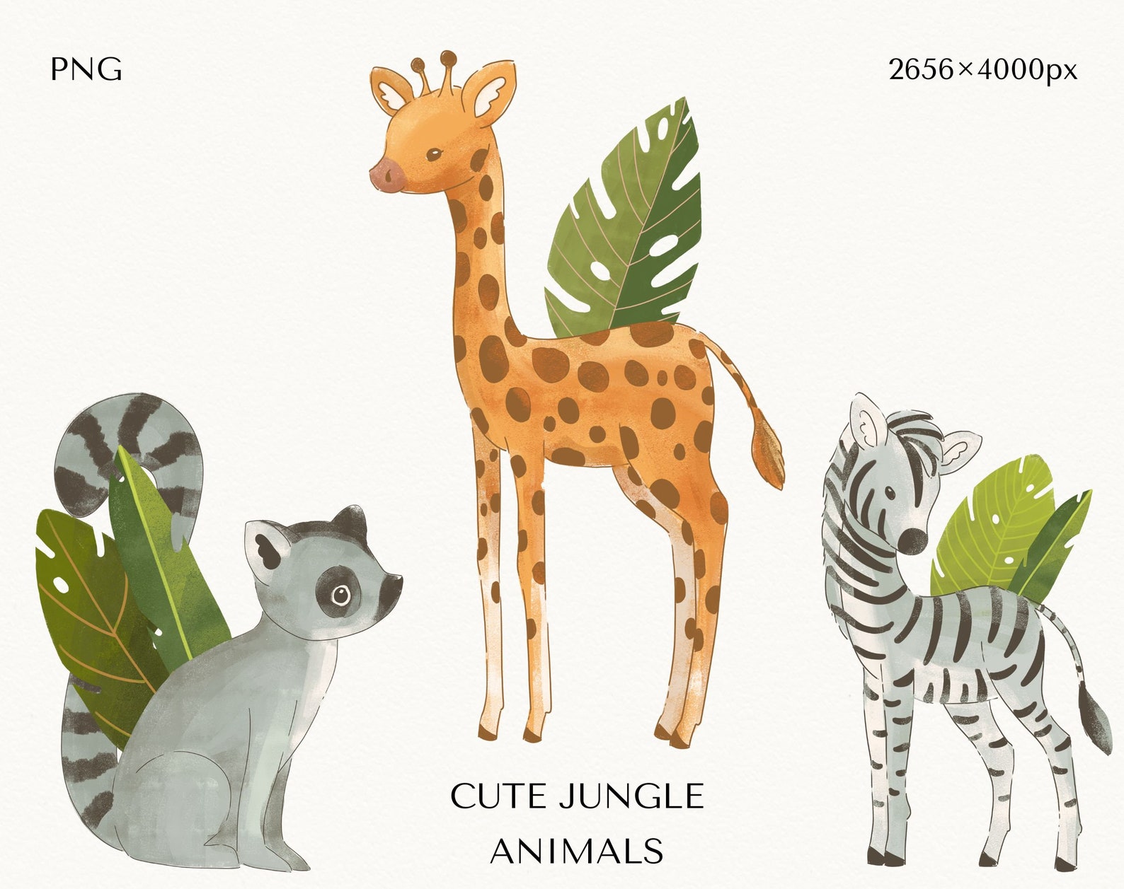 Cute Safari Animals Clipart Giraffe Png Zebra Png Lemur - Etsy