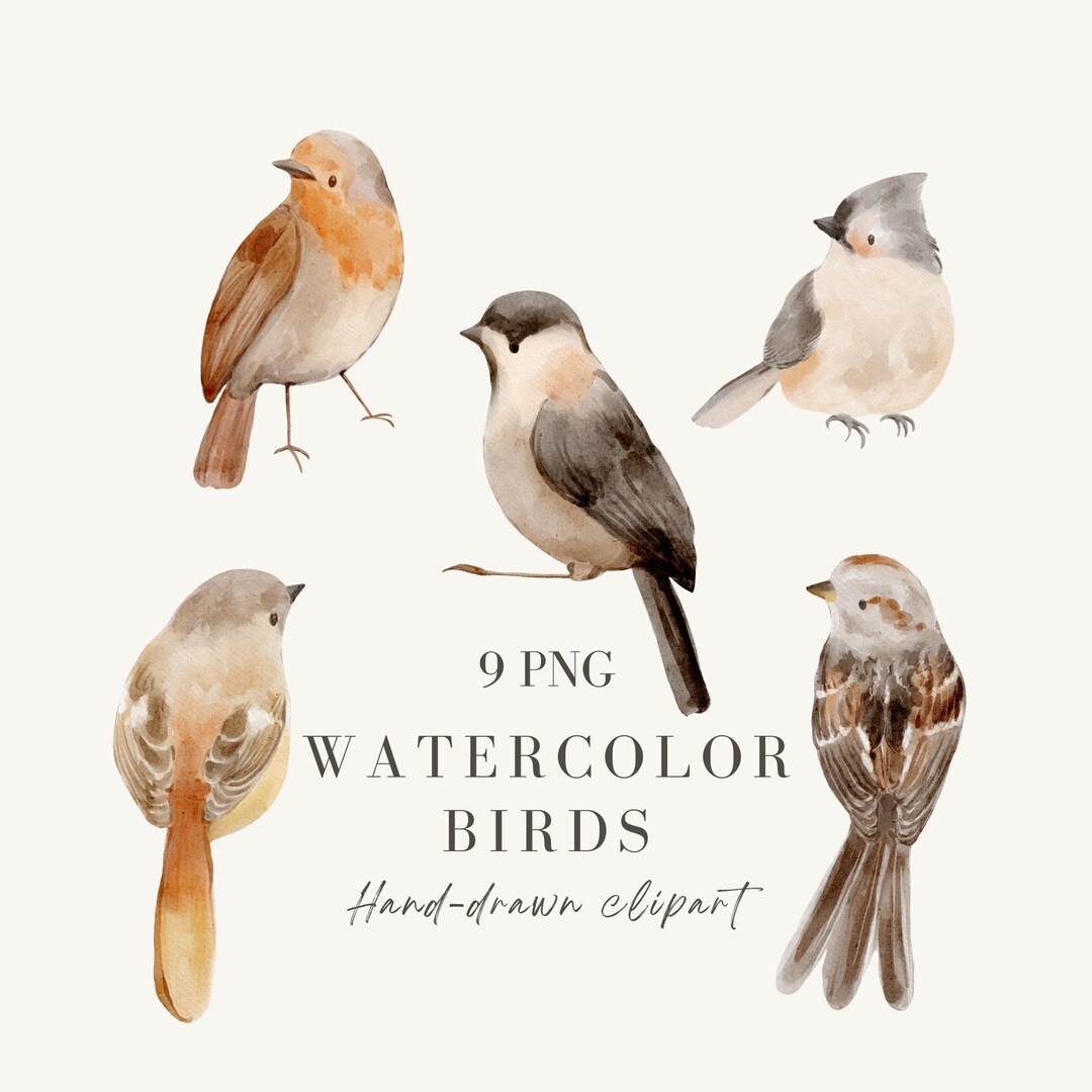 Watercolor Birds Clipart: Hand-drawn Animals (9 PNG, Digital Download ...