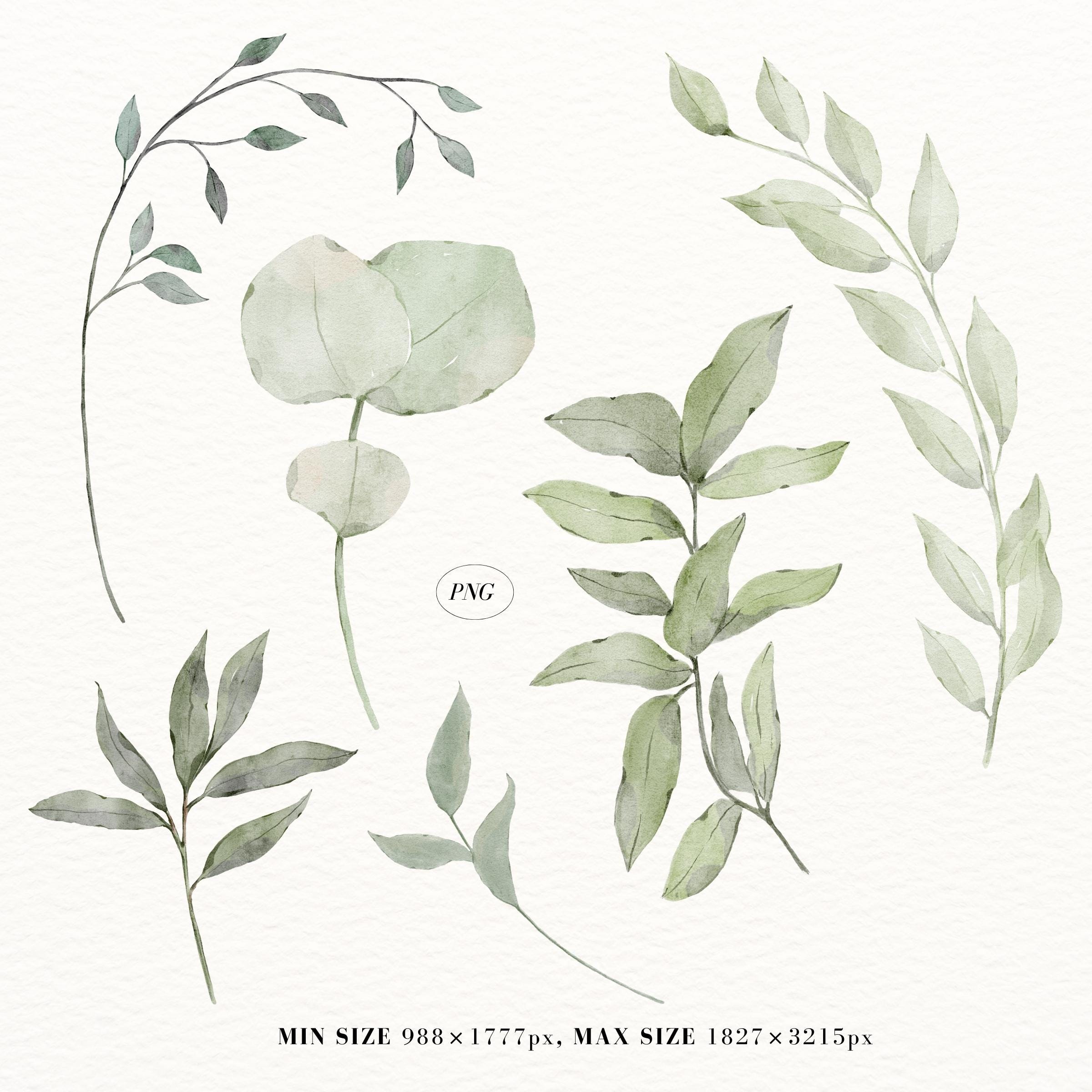Watercolor Green Leaves Clipart: Botanical PNG Set (22 Files) - Etsy