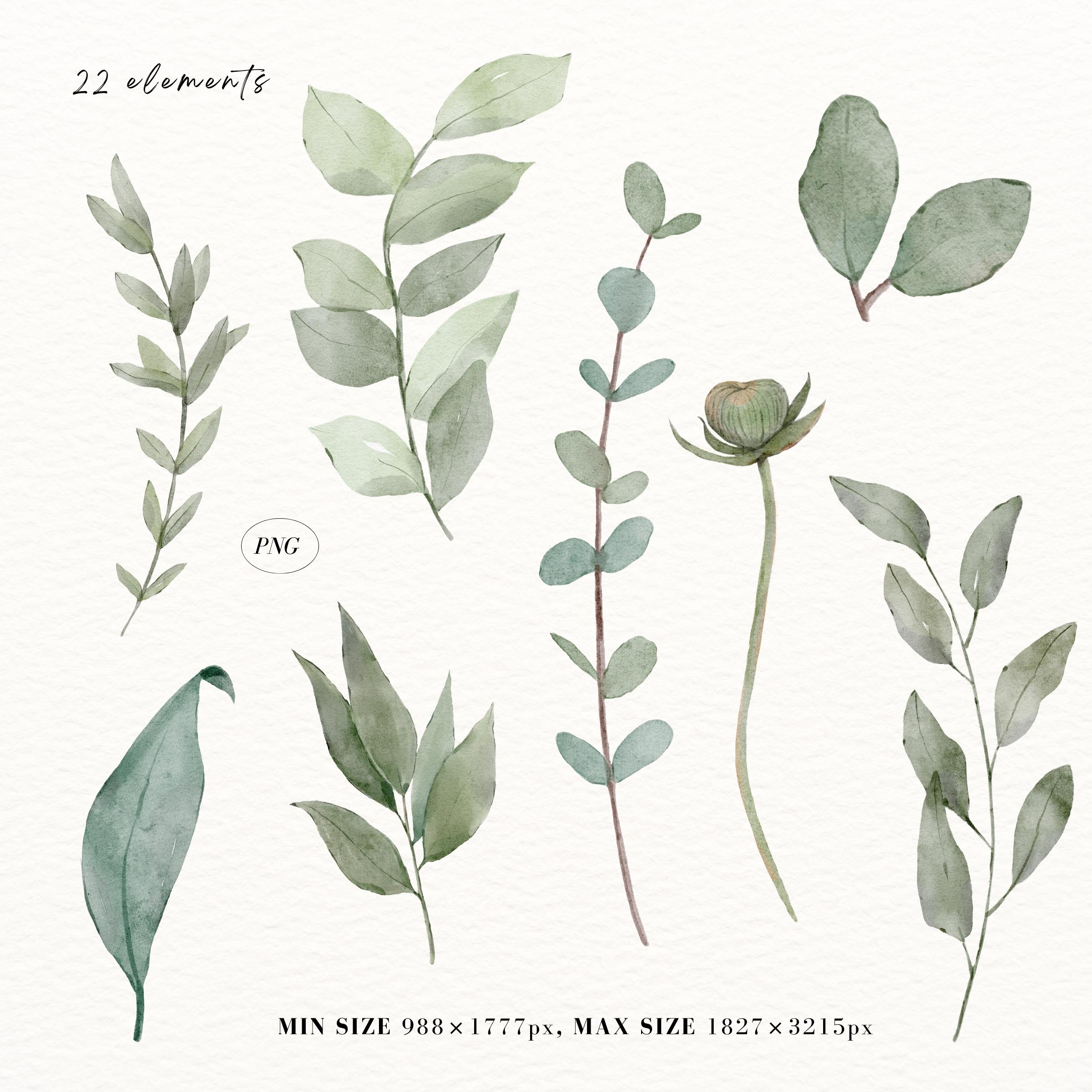 Watercolor Green Leaves Clipart: Botanical PNG Set (22 Files) - Etsy