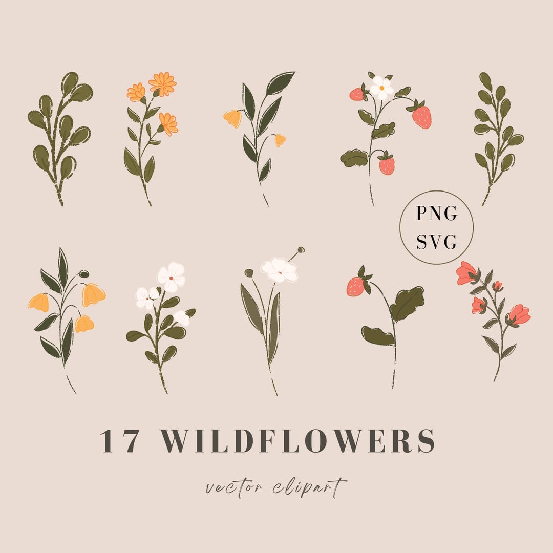 Wildflower Clipart: Hand-drawn Botanical SVG & PNG (17 Files) - Etsy