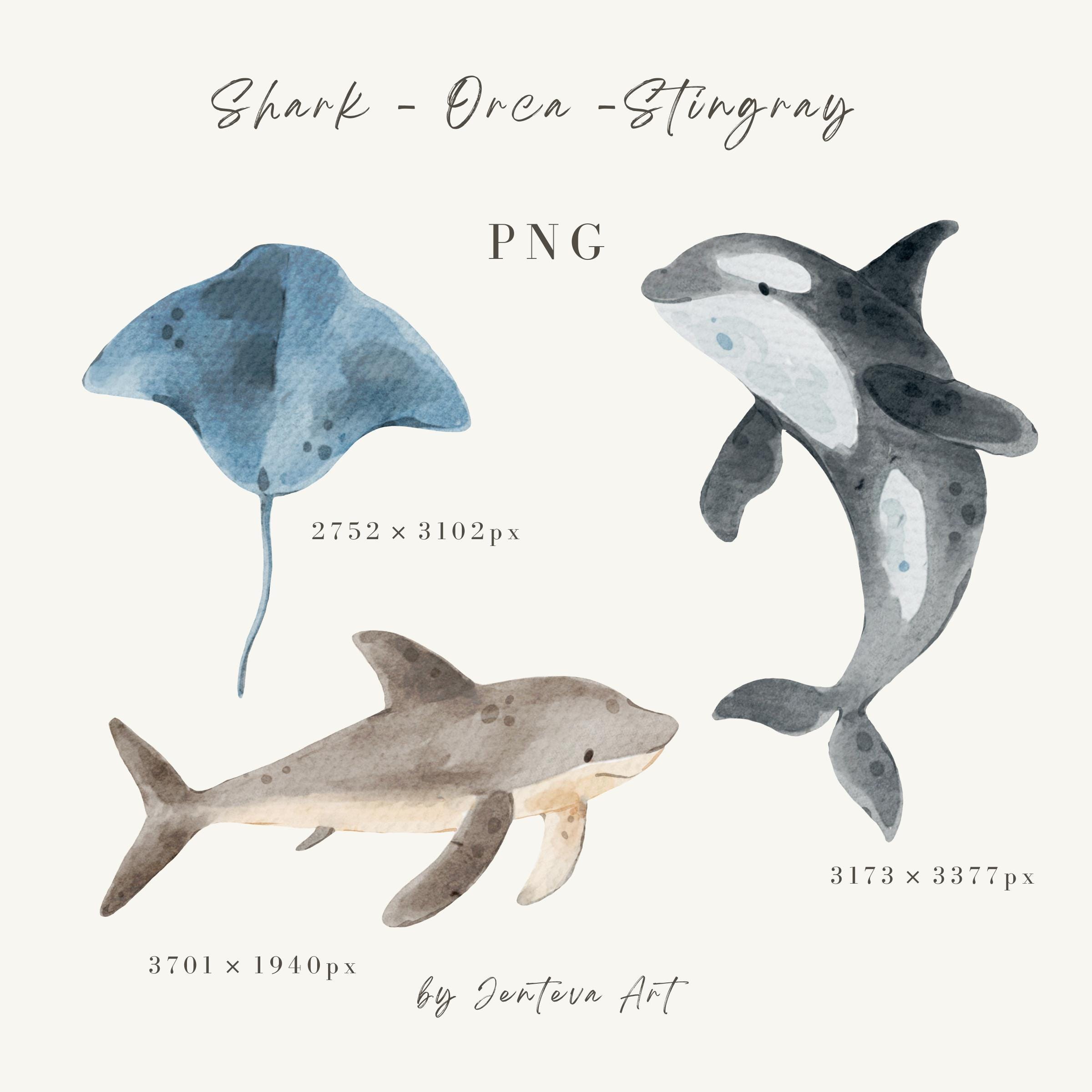 Watercolor Under Sea Clipart: Whales, Dolphins, Sharks (digital ...