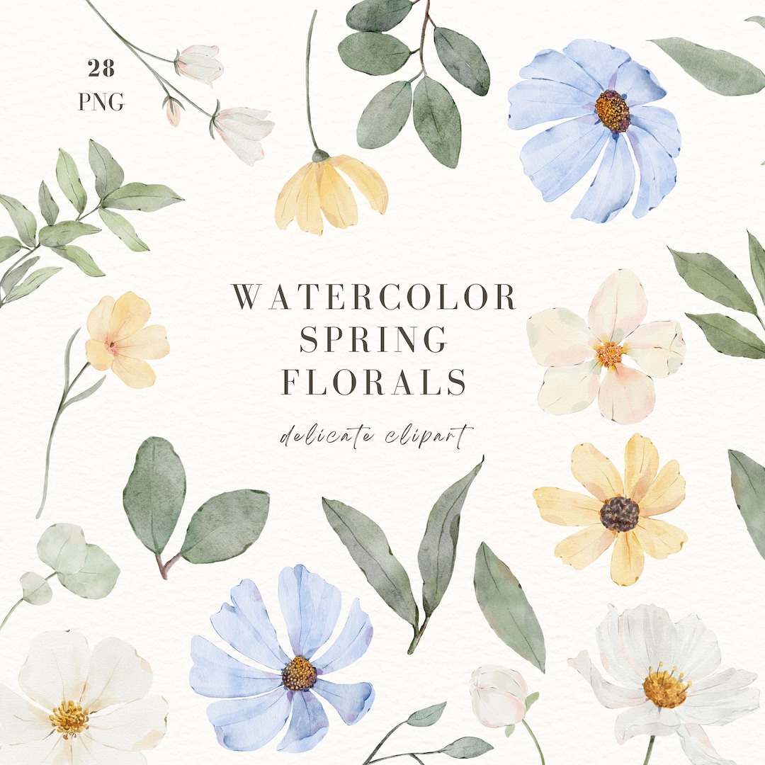 Watercolor Floral Clipart: Flowers & Leaves PNG (digital Download) - Etsy