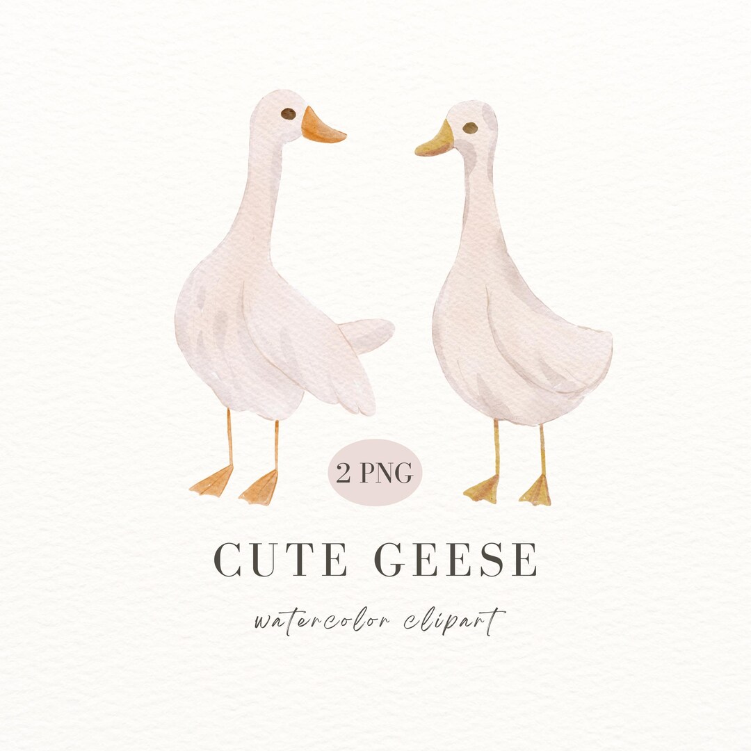 Watercolor Cute Geese, Watercolor Goose PNG, Goose Clipart, Cute ...