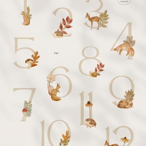 Watercolor Autumn Animals Clipart: Woodland Forest Graphics (digital ...