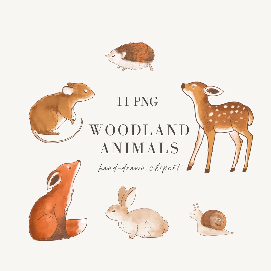 Woodland Animals Clipart Set: Fox, Deer, Bear, Bunny (digital Download ...
