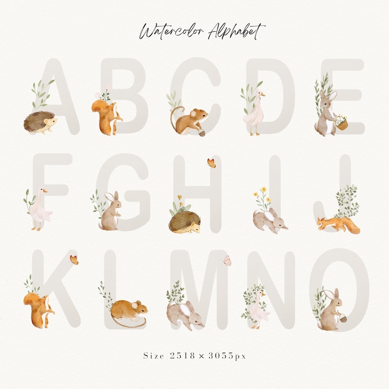 Watercolor Woodland Animals Alphabet Clipart: Nursery Art (PNG) - Etsy