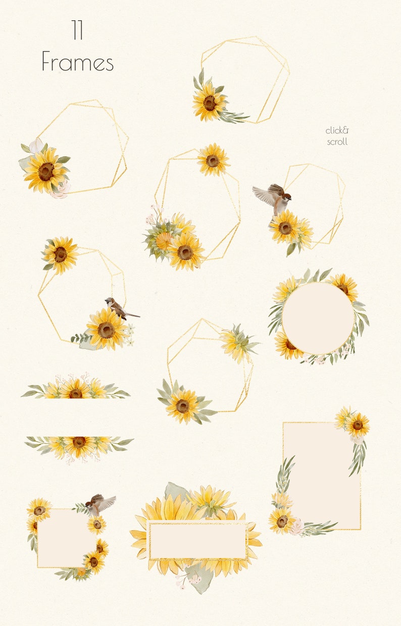 Watercolor Sunflower/floral Clipart Set - Etsy