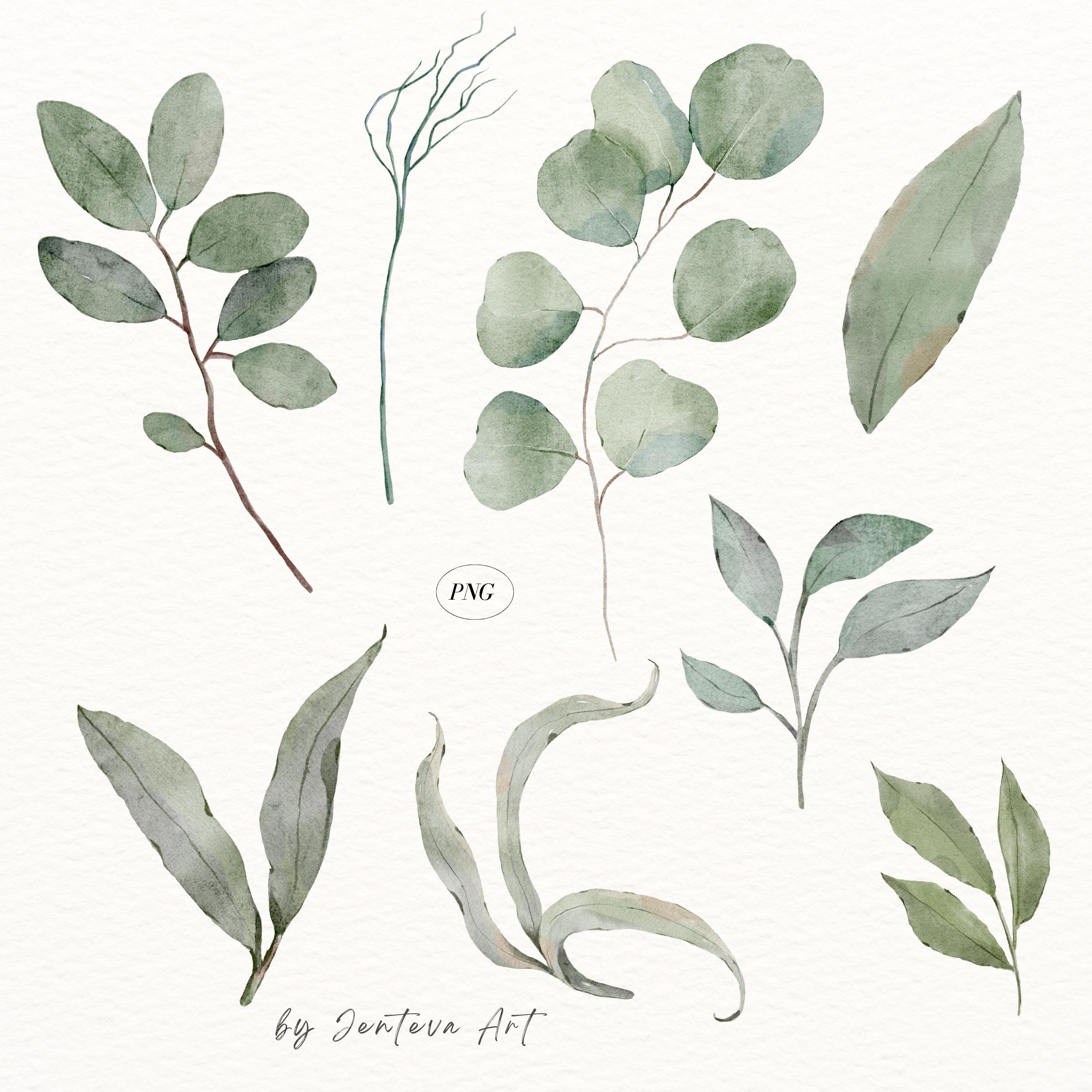 Watercolor Green Leaves Clipart: Botanical PNG Set (22 Files) - Etsy