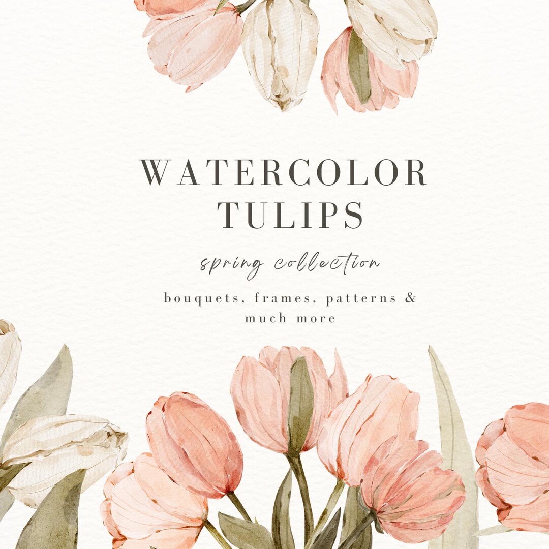 Watercolor Tulip Clipart Set: Floral Frames, Patterns PNG (digital ...
