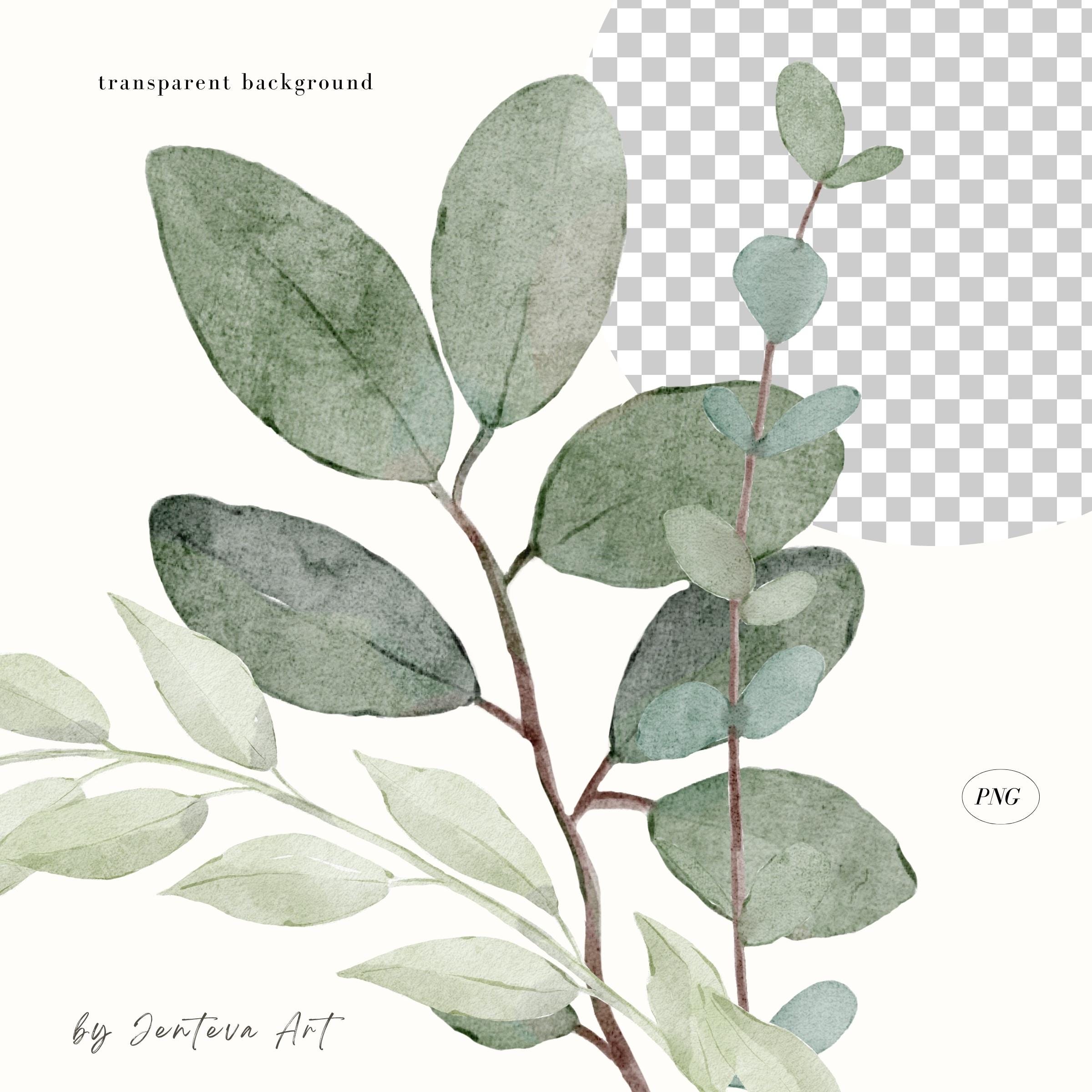 Watercolor Green Leaves Clipart: Botanical PNG Set (22 Files) - Etsy
