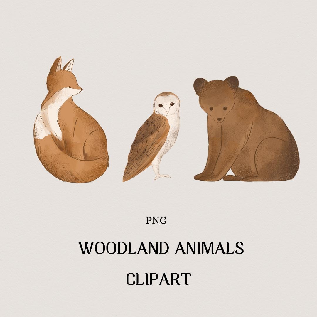 Woodland Animals Clipart: Hand-drawn Bear, Fox, Owl, Squirrel (PNG) - Etsy