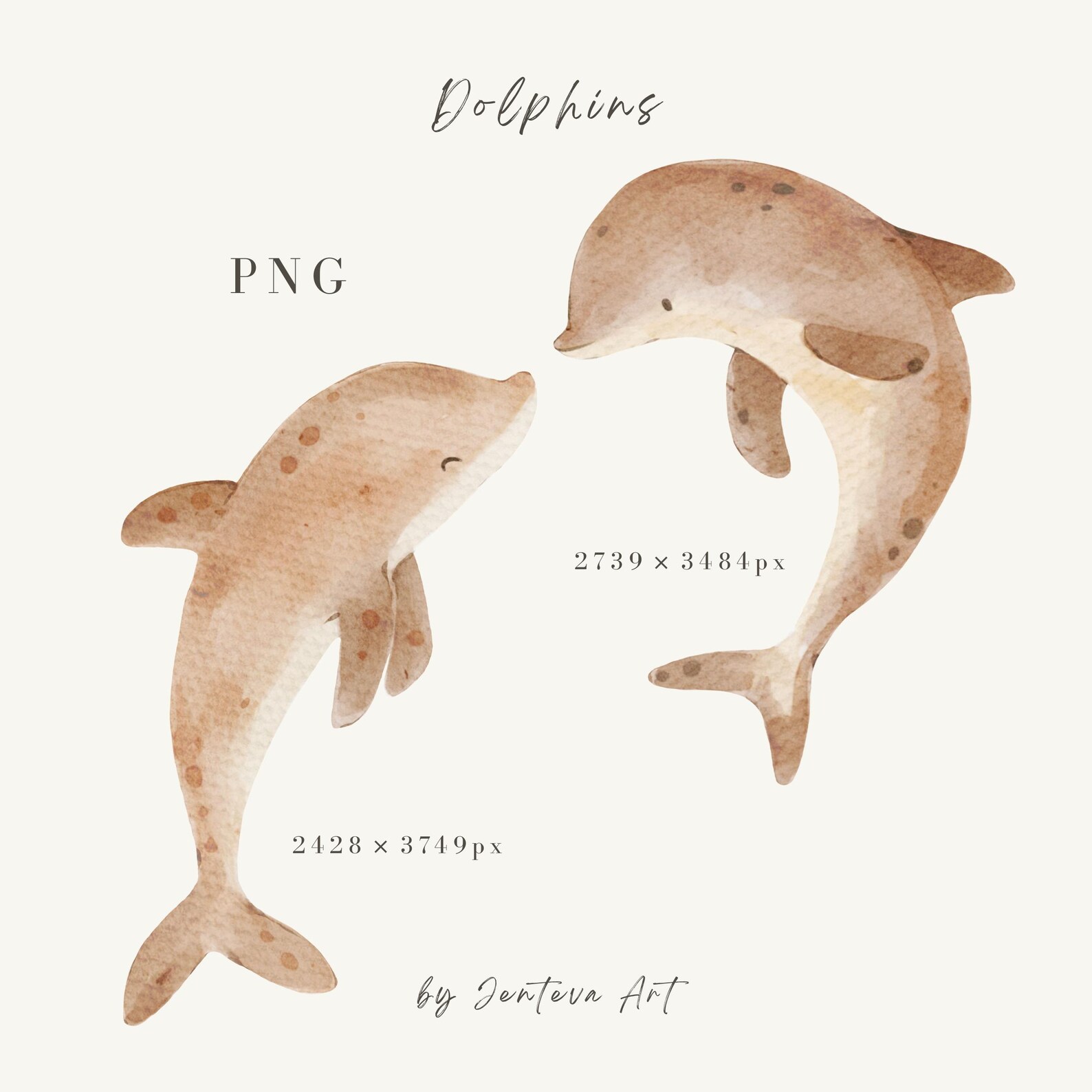 Watercolor Under Sea Clipart: Whales, Dolphins, Sharks (digital ...