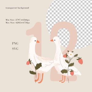 Cute Goose Numbers 1-12 , Birthday Numbers SVG, Goose Clipart, Goose ...