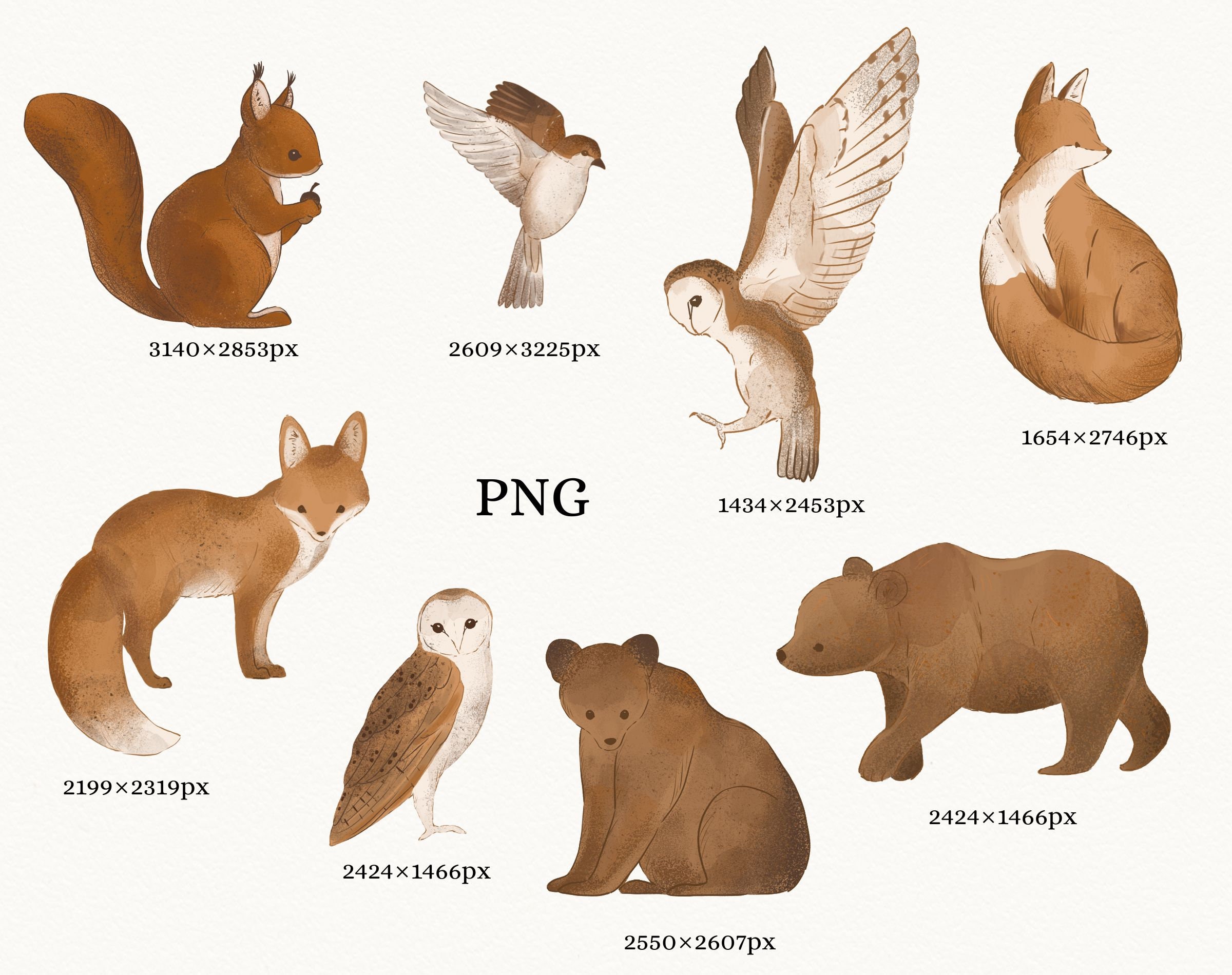 Woodland Animals Clipart Owl Png Squirrel Png Bear Clipart - Etsy