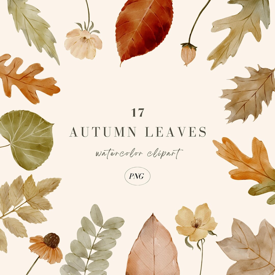 17 Watercolor Autumn Leaves Clipart, Watercolor Leaves PNG, Autumn ...