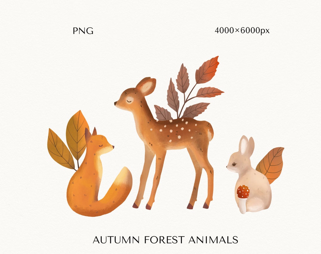 Woodland Animals Clipart, Deer Clipart, Fox Clipart, Rabbit Cliprat ...