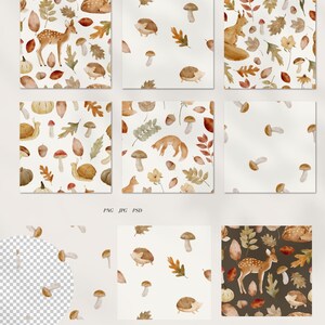 Watercolor Autumn Animals Clipart: Woodland Forest Graphics (digital ...