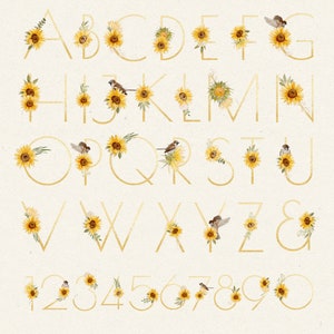 Watercolor Alphabet Sunflower, Letters and Number With Sunflower ...