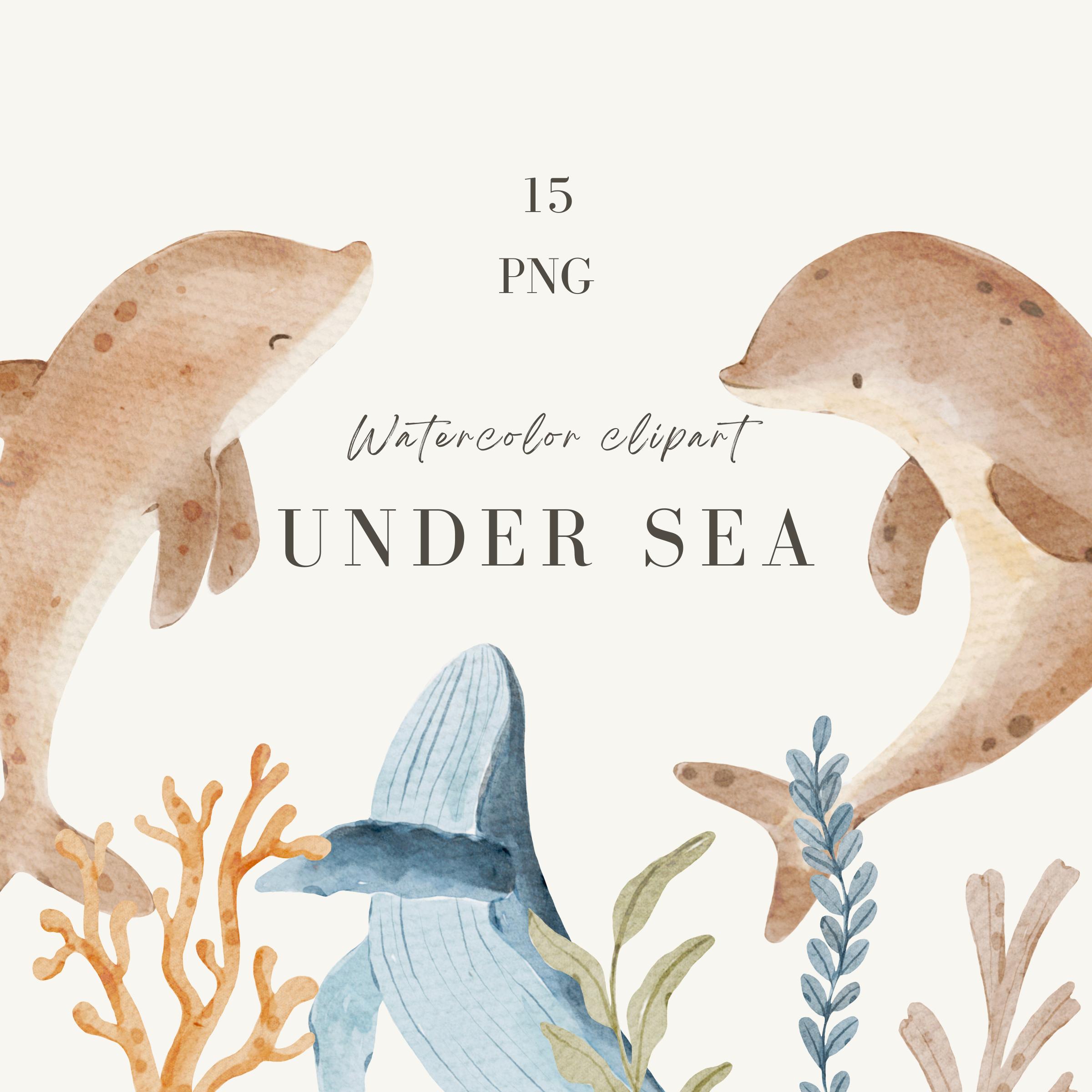 Watercolor Under Sea Clipart: Whales, Dolphins, Sharks (digital ...