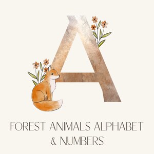 Watercolor Alphabet Clipart, Letters Number Woodland Animals, Woodland ...