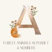 Watercolor Alphabet Clipart, Letters Number Woodland Animals, Woodland ...