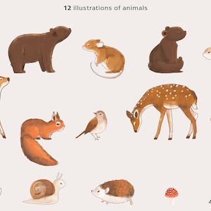 Woodland Animals Clipart, Woodlands Clipart, Cute Fox Bear Deer Rabbit ...
