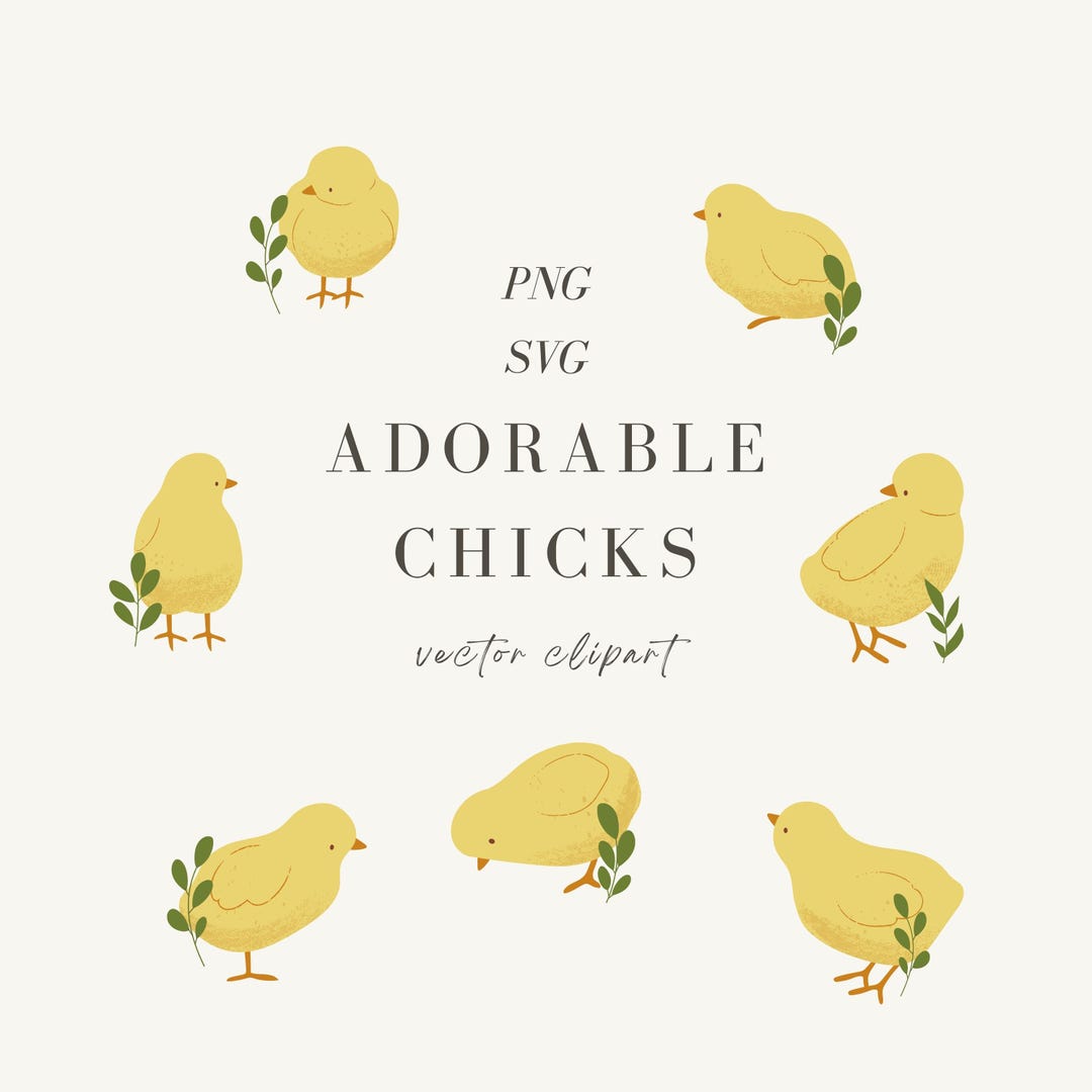 Chicks SVG Clipart Bundle, Farmhouse Illustrations (digital Download - Etsy
