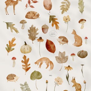 Watercolor Autumn Animals Clipart: Woodland Forest Graphics (digital ...