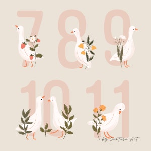 Cute Goose Numbers 1-12 , Birthday Numbers SVG, Goose Clipart, Goose ...