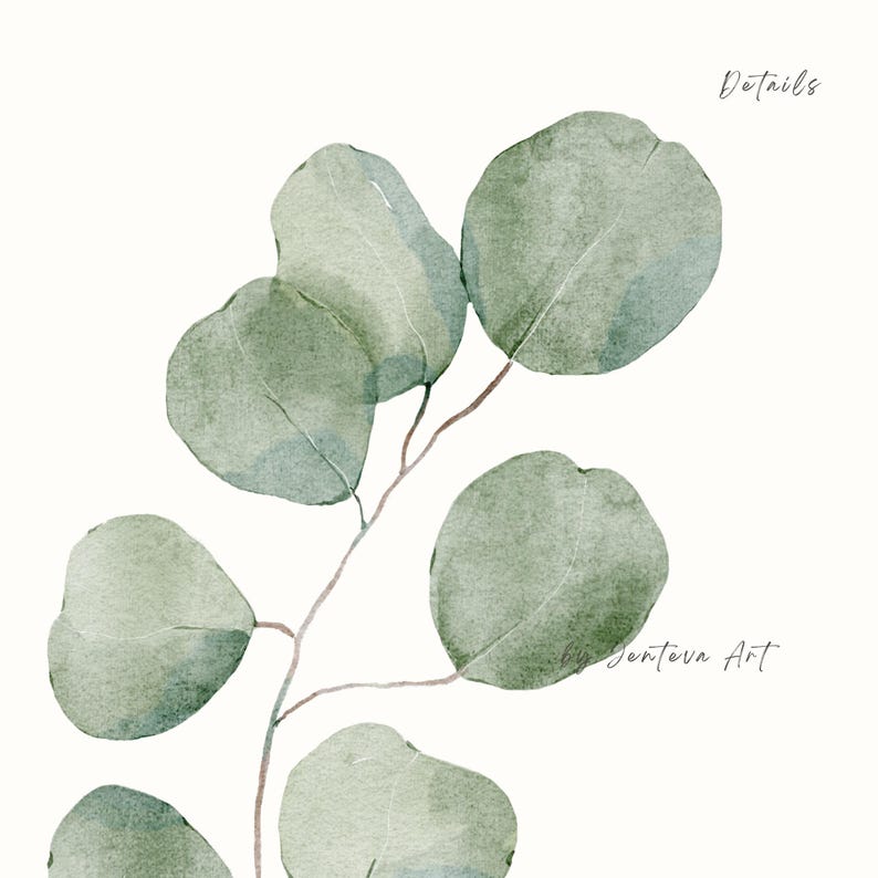 Watercolor Green Leaves Clipart: Botanical PNG Set (22 Files) - Etsy