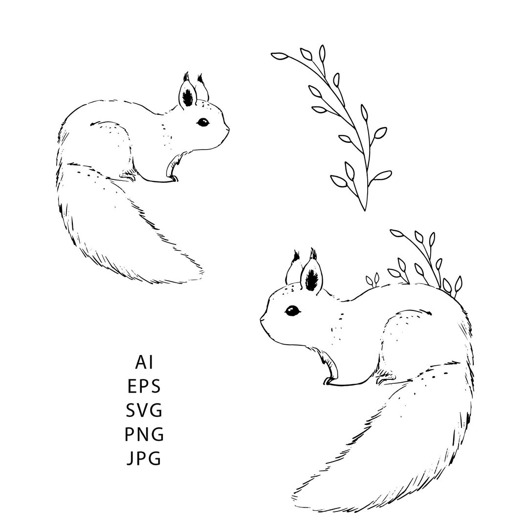 Line Art Squirrel Svg. Printable Squirrel Line Art. Line Art Floral Svg ...