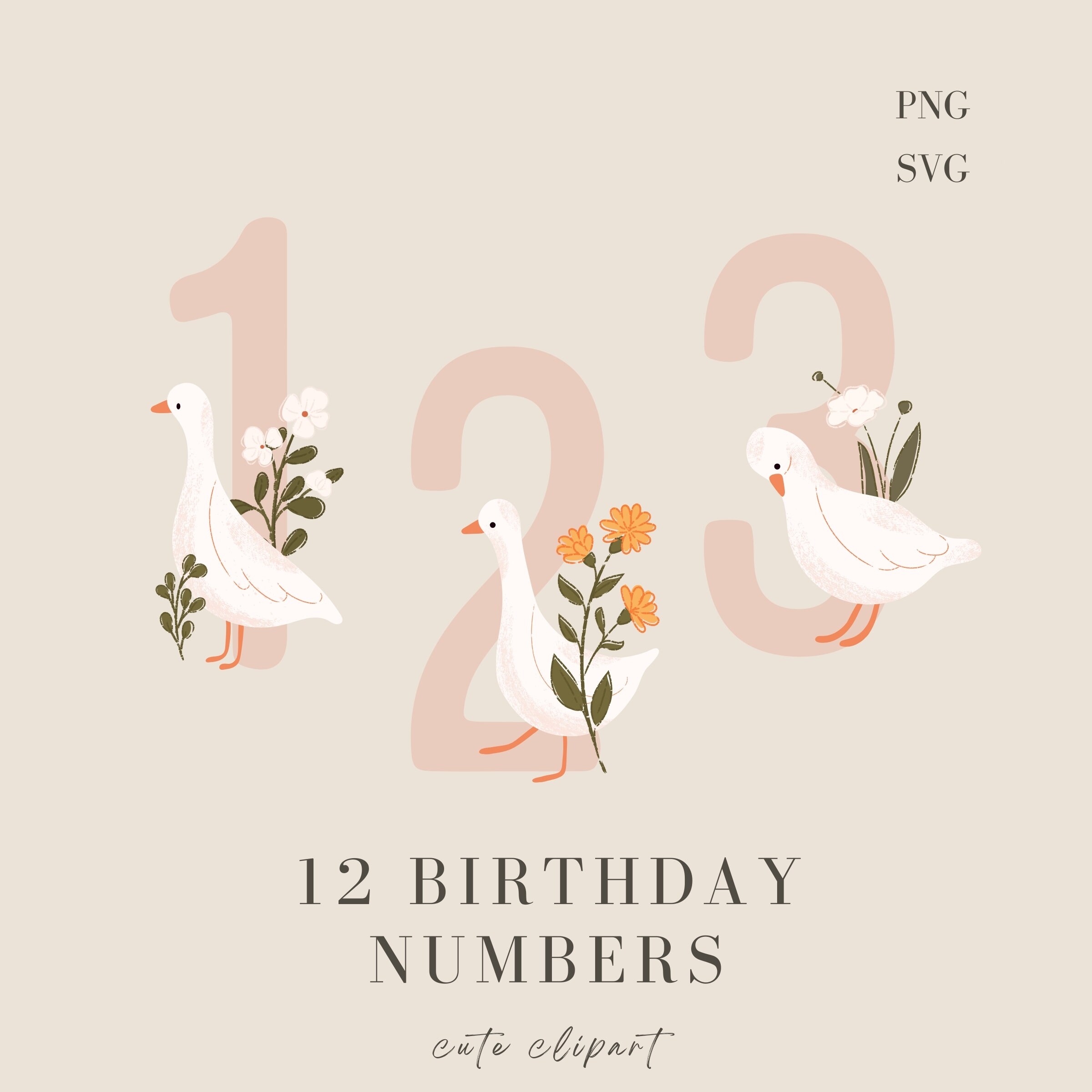 Cute Goose Numbers 1-12 , Birthday Numbers SVG, Goose Clipart, Goose ...