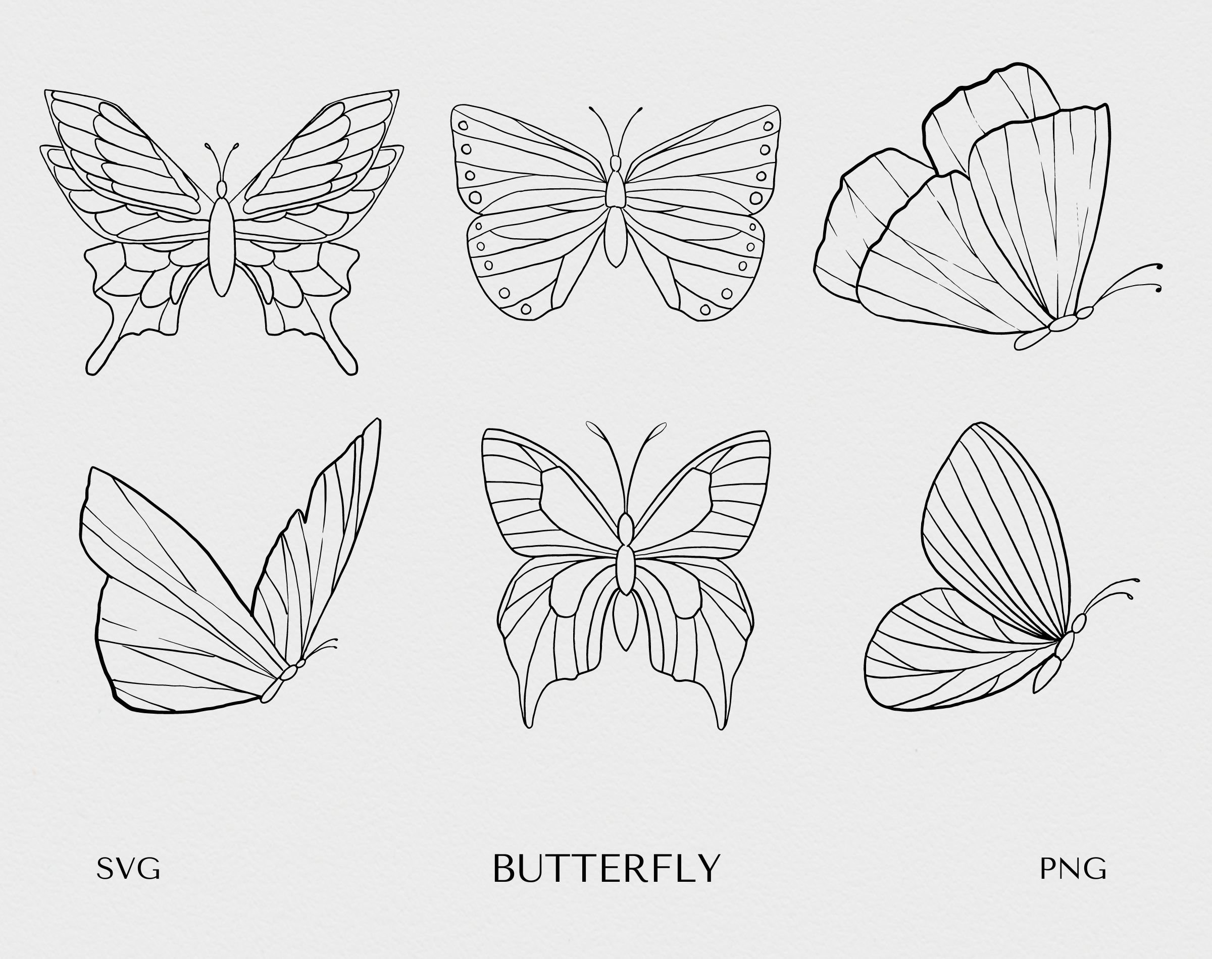 Butterfly Line Art Butterfly Svg Butterfly Vector - Etsy