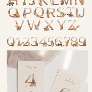 Watercolor Alphabet Clipart, Letters Number Woodland Animals, Woodland ...