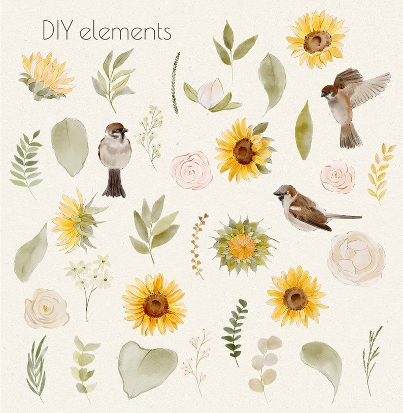 Watercolor Sunflower/floral Clipart Set - Etsy