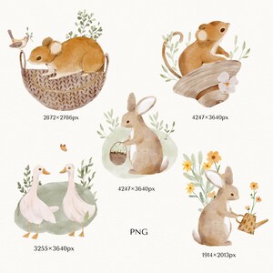 Watercolor Cute Animals Cilpart, Watercolor Floral, Watercolor Mouse ...