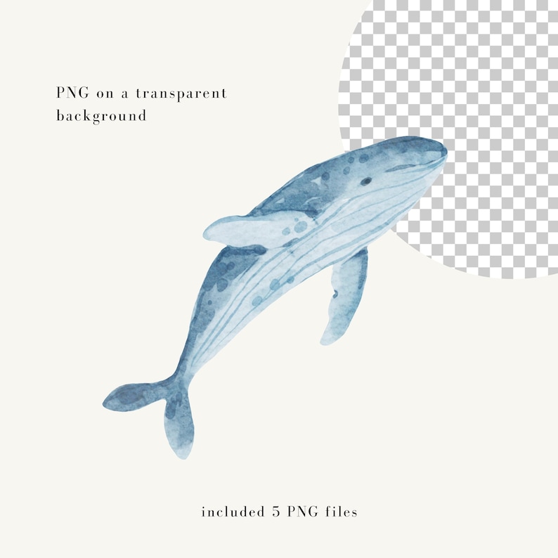 Watercolor Whales Clipart: Hand-painted Undersea Illustrations (digital ...
