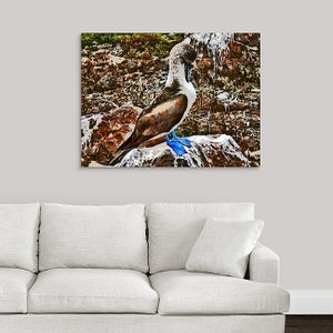 Blue Footed Booby / Digital Painting Print/wall Art - Etsy