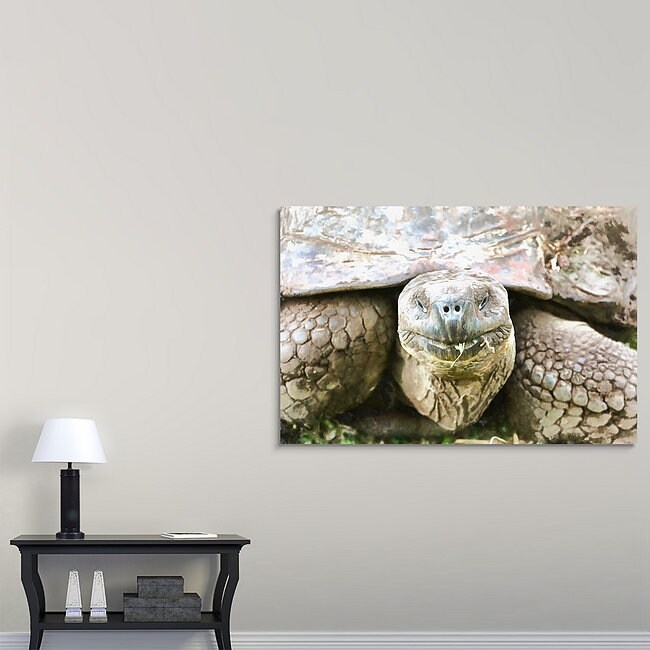 Galapagos Tortoise/ Digital Painting Print/wall Art - Etsy