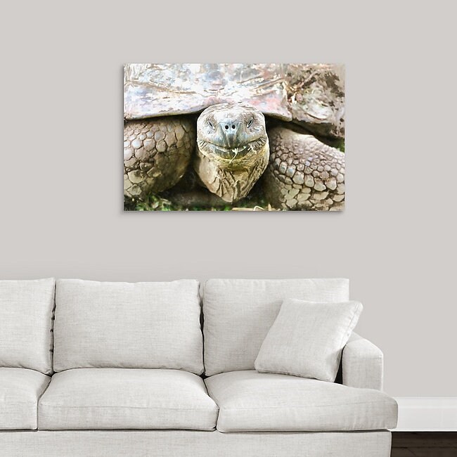 Galapagos Tortoise/ Digital Painting Print/wall Art - Etsy