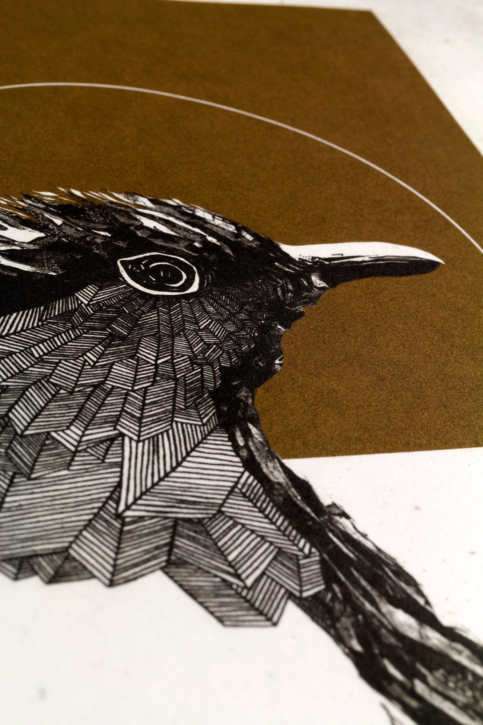 Original Etching / Fine Art Print Limited Edition / the Robin - Etsy