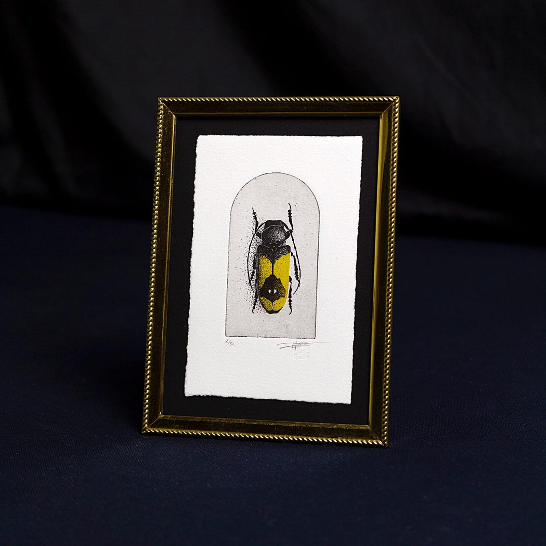 Original Etching With Vintage Frame/ Limited Edition Fine Art Print ...